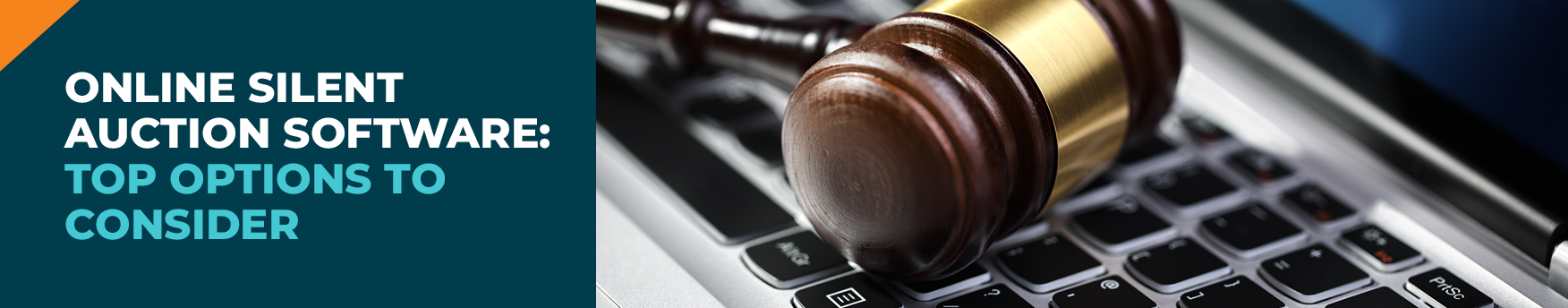 Online Silent Auction Software: 20+ Top Options to Consider | DonorSearch