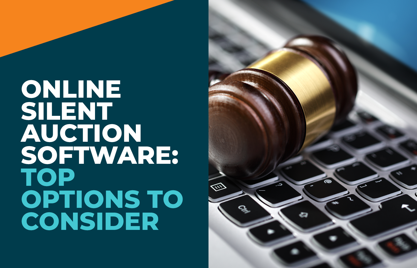 Resource Library | DonorSearch