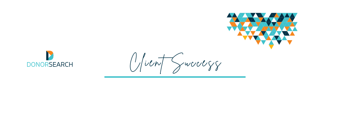 What is DonorSearch Ai? | DonorSearch