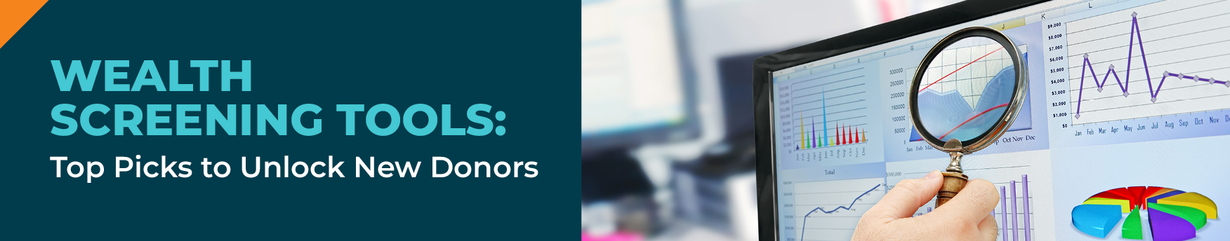 Wealth Screening Tools: 10 Top Picks to Unlock New Donors | DonorSearch