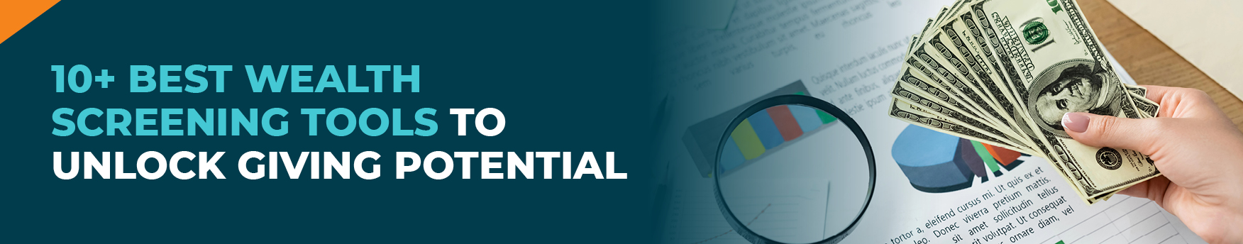 10+ Best Wealth Screening Tools to Unlock Giving Potential | DonorSearch