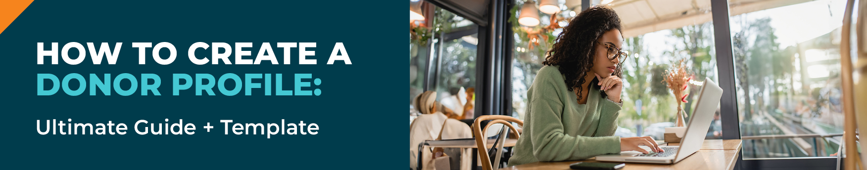 How to Create a Donor Profile: Ultimate Nonprofit Guide | DonorSearch