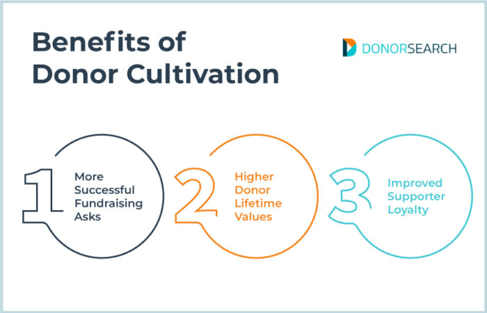 Donor Cultivation: The Basics + 6 Standout Strategies | DonorSearch
